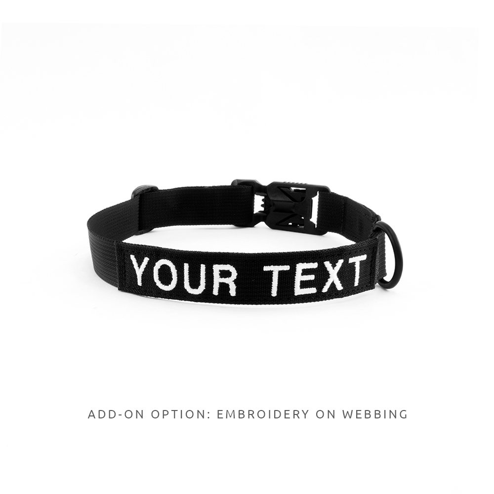 Low Profile, Heavy Duty Dog Collar for Active Dogs